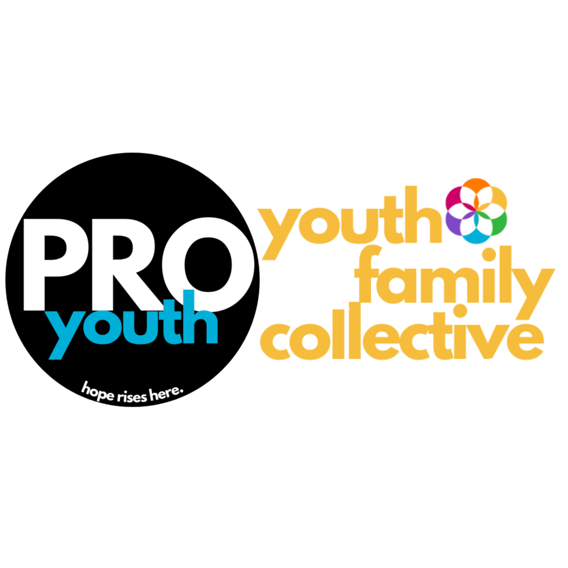 Home - Pro Youth and Families